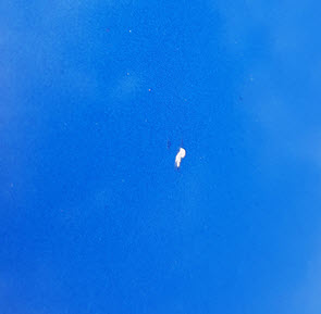 Steenslag: hoe kun je steenslag verwijderen en voorkomen?